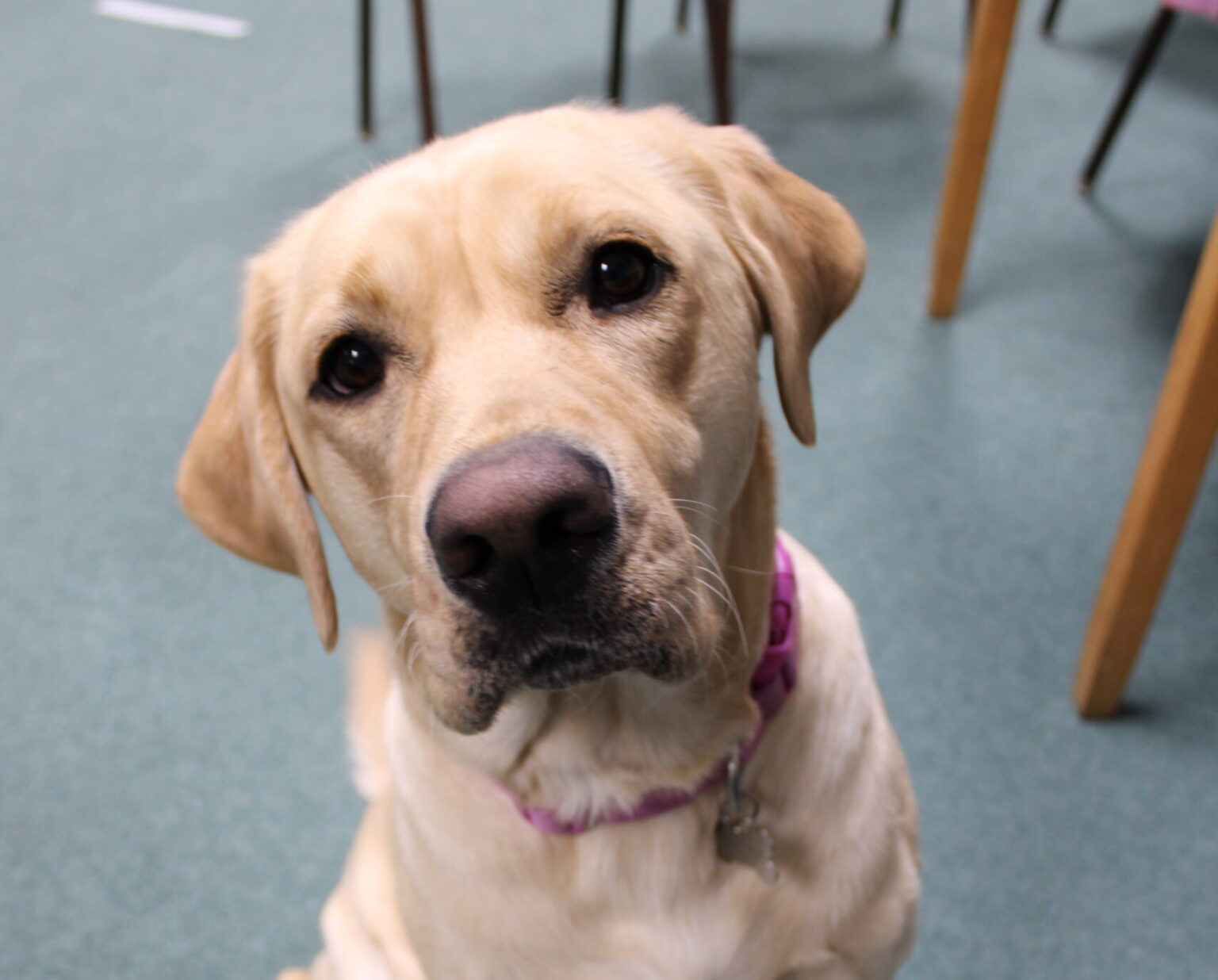 Our Team | Well-Spring Solutions